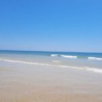 Albufeira - Visit Olhão & Culatra Island with lunch included - Practical Details & Value