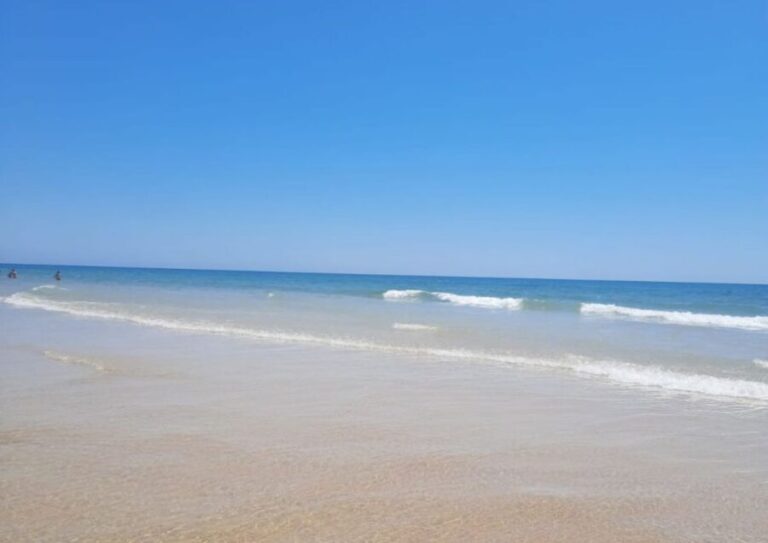 Albufeira - Visit Olhão & Culatra Island with lunch included - Practical Details & Value