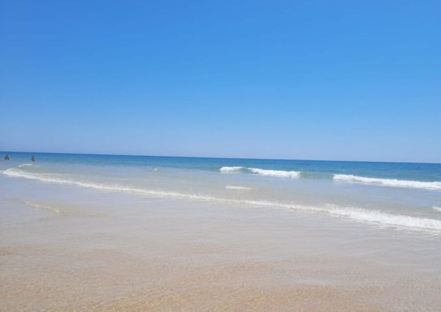 Albufeira - Visit Olhão & Culatra Island with lunch included - Practical Details & Value