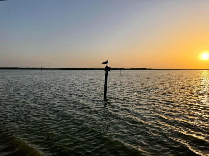 Albufera Bike Adventure: Wetlands, Beaches & Biodiversity - An In-Depth Look at the Albufera Bike Adventure