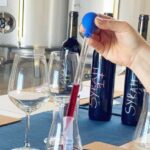 Alcamo: Create your personal blend of wine - The Itinerary in Detail