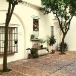 Alcazar, Cathedral And Santa Cruz Private Tour - Authenticity and Local Flavor