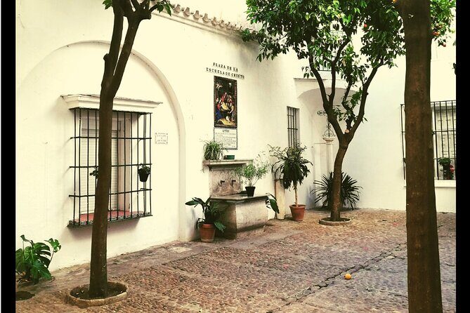 Alcazar, Cathedral And Santa Cruz Private Tour - Authenticity and Local Flavor