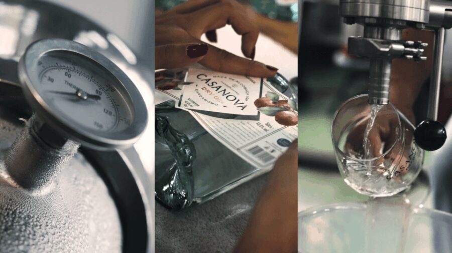 Alcobaça: Visit to the Lemos Figueiredo Winery and Distillery - The Tour Itself: How It Unfolds