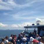 Alcudia: Boat Trip to Cap de Formentor and Formentor - A Close Look at the Itinerary