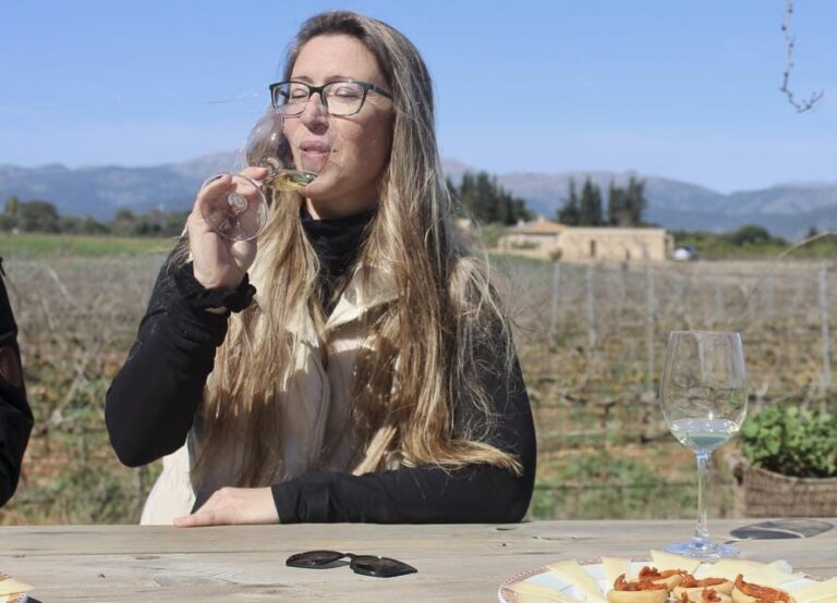 Alcúdia/Can Picafort: Guided Vineyard Visit and Wine Tasting - The Itinerary: What to Expect