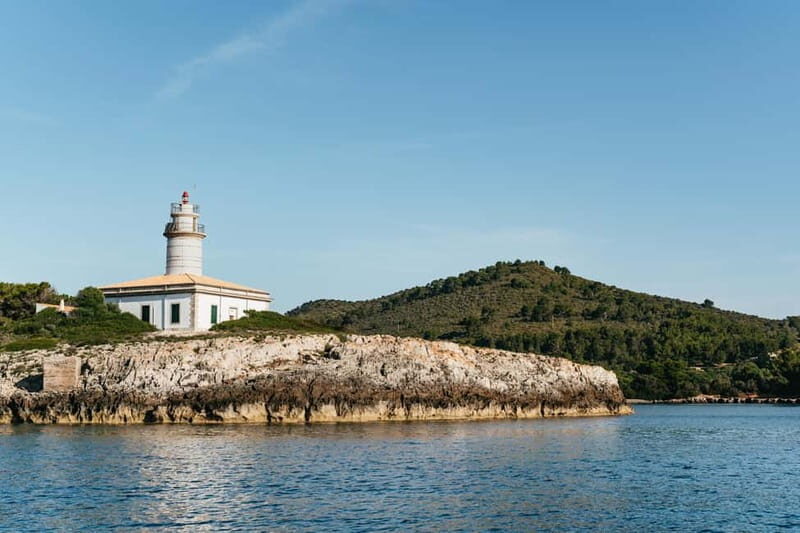 Alcudia or Can Picafort: Dolphin-Watching Cruise - The Scenic Journey: Cliffs, Caves, and Coastline