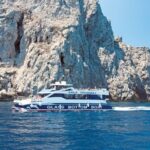 Alcudia: Trip to Formentor Beach - Who Should Consider This Tour?