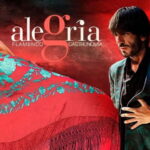 Alegria Flamenco in Malaga, with Transfer, Cocktail and Premium Location - An In-Depth Look at the Flamenco Tour Experience