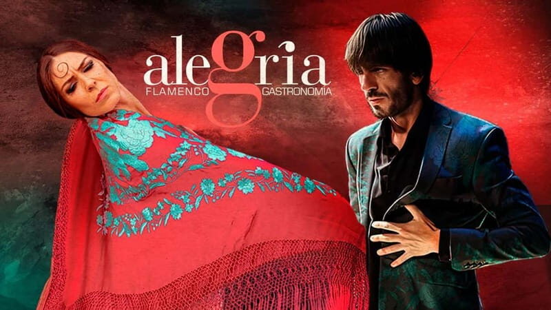 Alegria Flamenco in Malaga, with Transfer, Cocktail and Premium Location - An In-Depth Look at the Flamenco Tour Experience