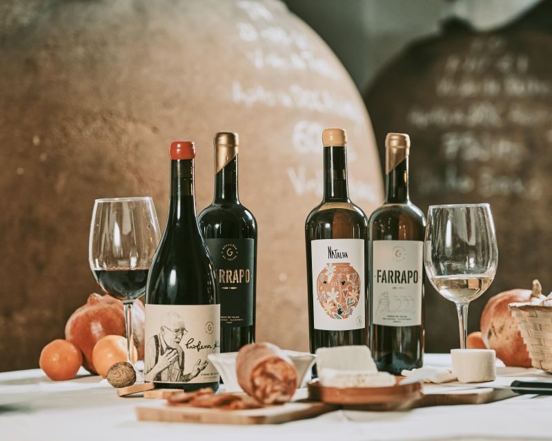 Alentejo: Visit and Taste the tradition of Talha Wines - What You’ll Taste and Experience