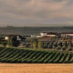 Alentejo Wine Tour from the Algarve - Authentic Experiences and Past Traveler Feedback