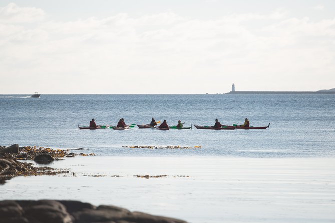Ålesund Round Trip  A Great Kayak Adventure - Key Points