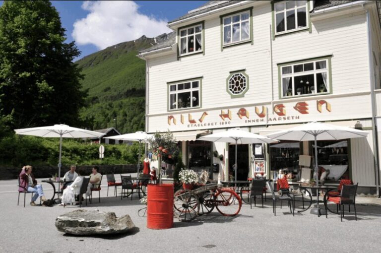 Ålesund-Sæbø round trip (2 hour stop in Sæbø) - Final Thoughts: Who Should Consider This Tour?