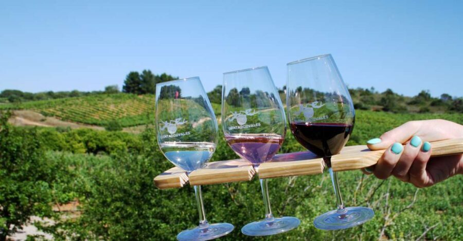Algarve: 3 Types of Wine Tastings with Vineyard Views - Breakdowns of the Itinerary: What Makes It Special