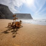 Algarve: Amazing Private Surf Lesson 2 hours - What to Expect During the 2-Hour Lesson
