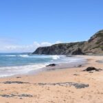 Algarve Beautiful South Coast of Portugal in a Day - The Itinerary in Detail: What You’ll Experience