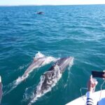 Algarve: Boat Trip to the Caves of Benagil - Introduction: Why This Tour Might Be a Perfect Fit