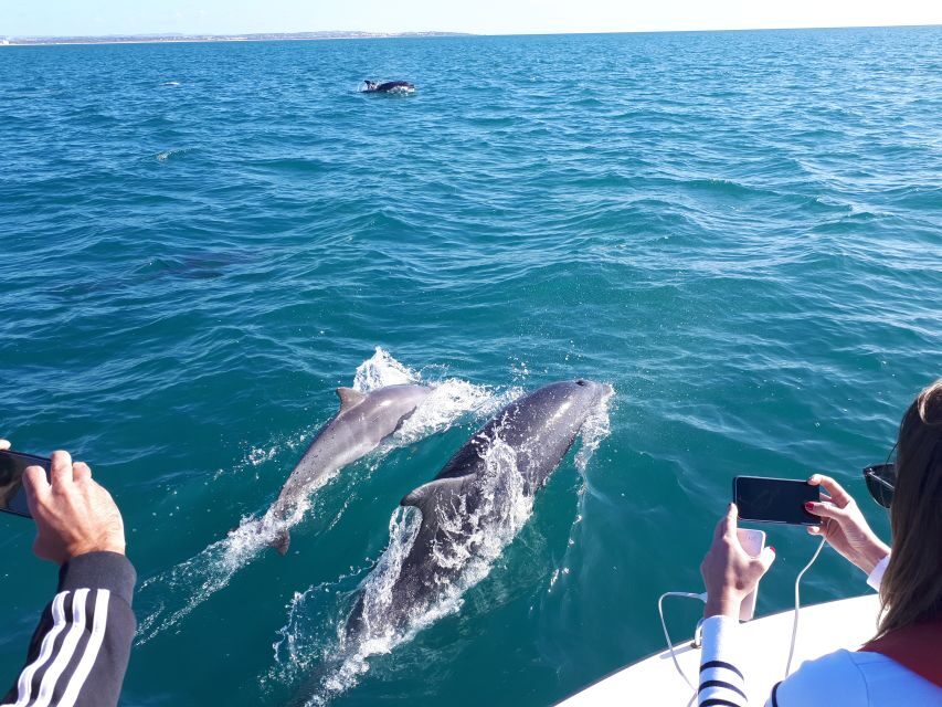 Algarve: Boat Trip to the Caves of Benagil - Introduction: Why This Tour Might Be a Perfect Fit
