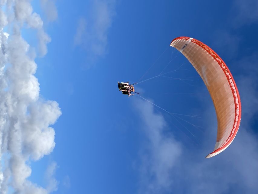 Algarve Coast: Paragliding Experience - Why Choose This Experience?