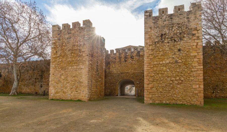 Algarve: Lagos and Cabo Sao Vicente Guided Tour - The Lagos Experience: Historic Charm and Coastal Beauty