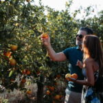 Algarve: Silves, Orange Grove & Monchique Mountains Tour - The Tour in Detail: What to Expect and Why It Matters