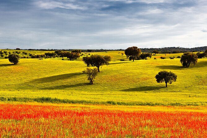 Algarve to Lisbon with stop at Évora, Bones Chapel and Cork factory - The Practical Side: What This Tour Means for You