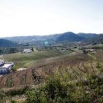 Algarve wine tour and mountain top trip with lunch or dinner - What’s Included & What’s Not