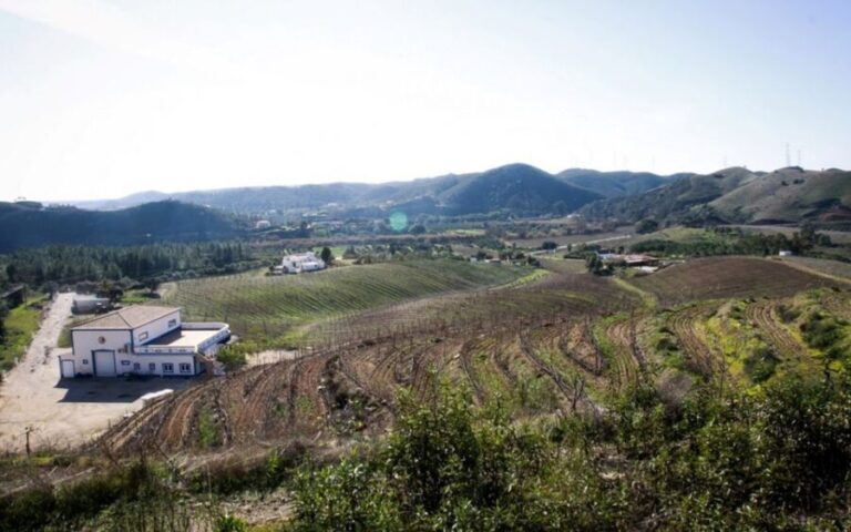 Algarve wine tour and mountain top trip with lunch or dinner - What’s Included & What’s Not