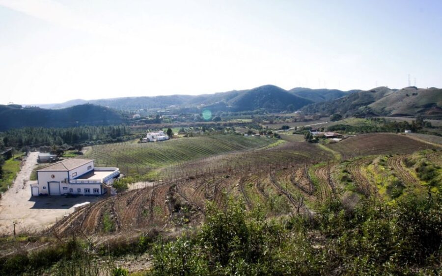 Algarve wine tour and mountain top trip with lunch or dinner - What’s Included & What’s Not