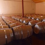 Algarve Wine Tour of two estates guided by wine expert - Why This Tour Works for Travelers