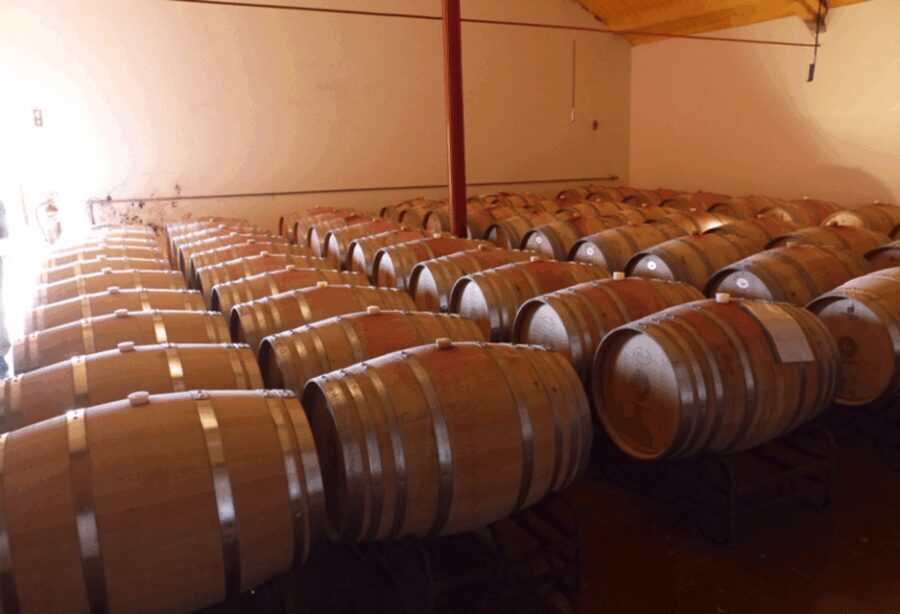 Algarve Wine Tour of two estates guided by wine expert - Why This Tour Works for Travelers