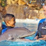 Algarve Zoomarine Ticket and Dolphin Emotions Experience - What to Expect: A Step-by-Step Overview