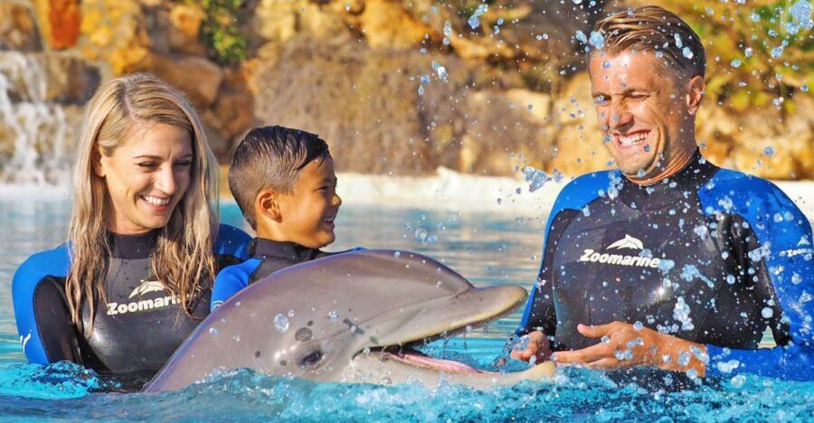 Algarve Zoomarine Ticket and Dolphin Emotions Experience - What to Expect: A Step-by-Step Overview
