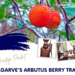 ALGARVE'S ARBUTUS BERRY TRAIL - Practical Details