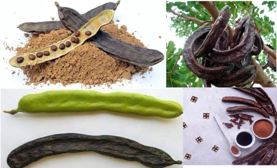 ALGARVE'S CAROB TRAIL - An Honest Look at the Value