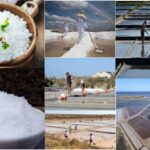 ALGARVE'S SALT TRAIL - An In-Depth Look at Algarve’s Salt Trail