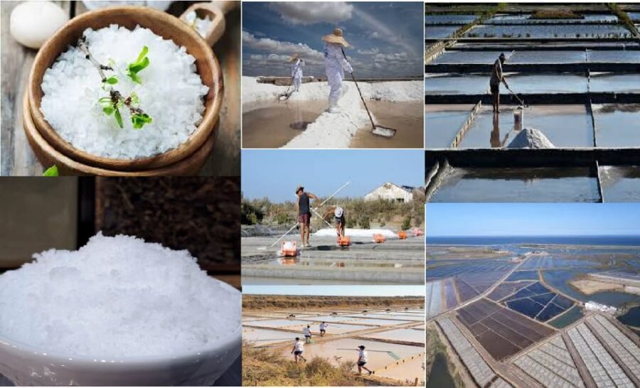 ALGARVE'S SALT TRAIL - An In-Depth Look at Algarve’s Salt Trail