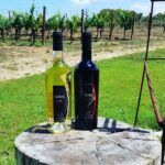 Alghero: Dinner in the Vineyard with Wine - What to Expect from the Tour