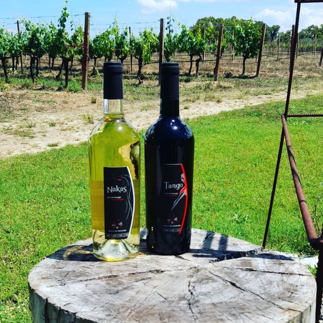 Alghero: Dinner in the Vineyard with Wine - What to Expect from the Tour