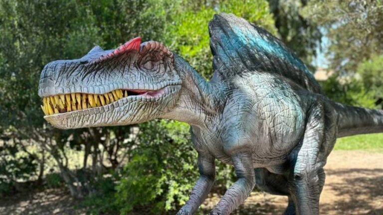 Alghero: Discover dinosaurs in Porto Conte Park - Exploring the Historical Layers of Sardinia
