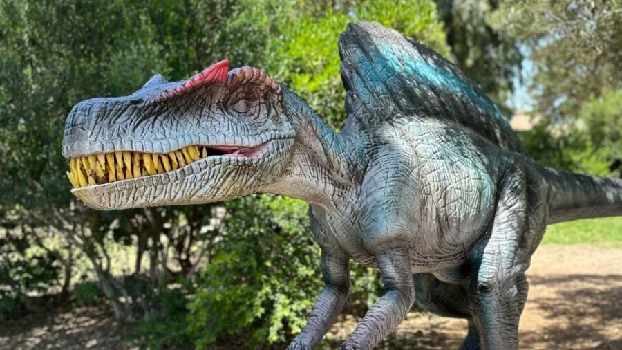 Alghero: Discover dinosaurs in Porto Conte Park - Exploring the Historical Layers of Sardinia