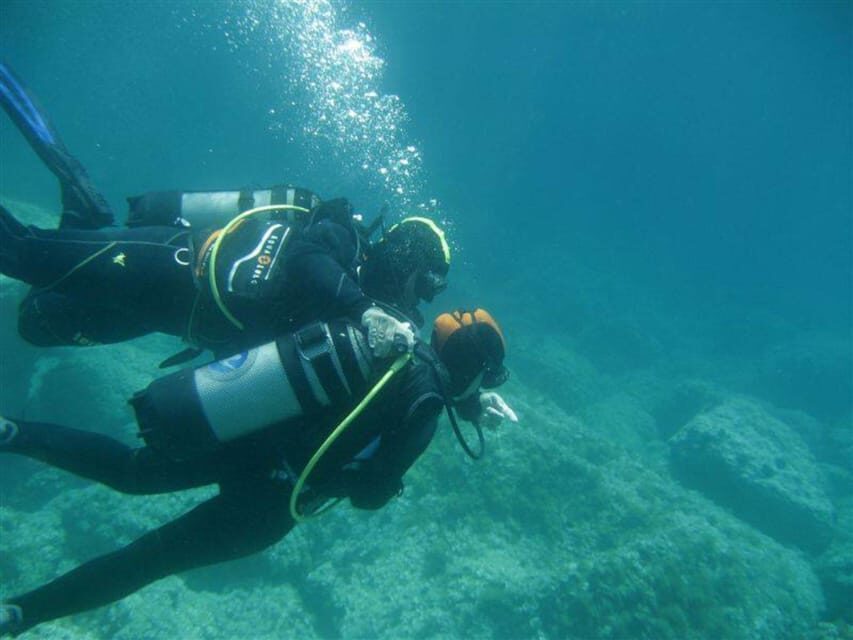Alghero: discovery diving lesson for beginners - An Honest Look at the Discovery Diving Experience