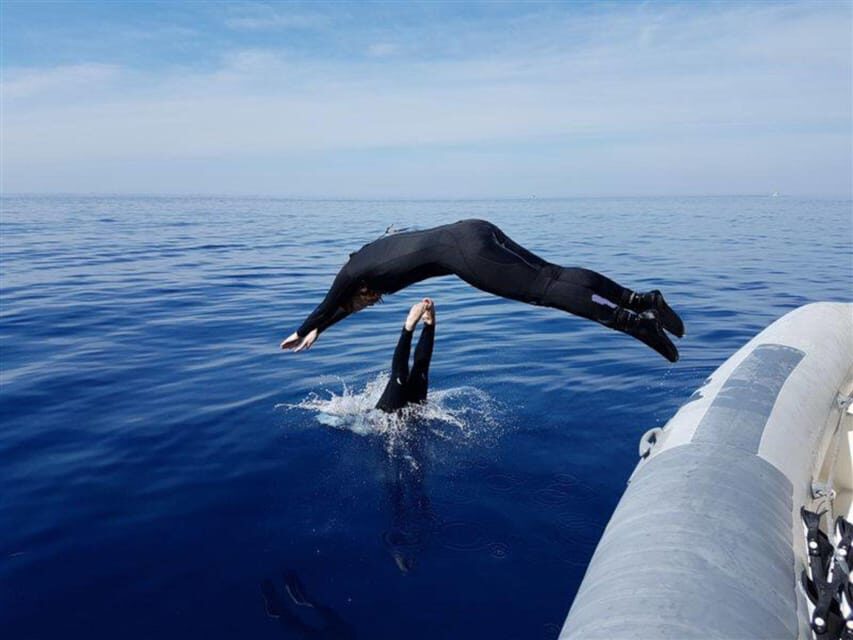 Alghero: diving for professionals at Capo Caccia - Dive Sites: Cave Systems and Seabed Wonders