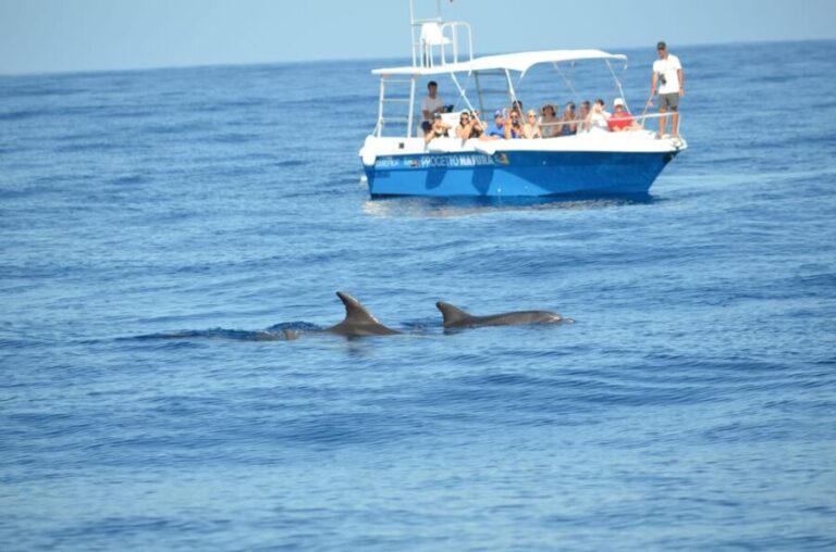 Alghero: Dolphin Watching Tour with Marine Biologists - FAQs