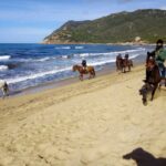 Alghero: Guided Horseback Ride at Lake Baratz & Porto Ferro - FAQ Section