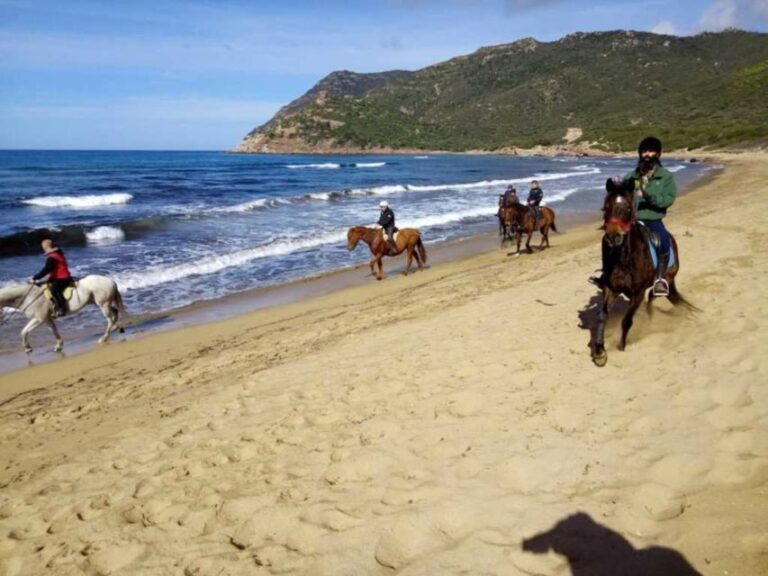 Alghero: Guided Horseback Ride at Lake Baratz & Porto Ferro - FAQ Section