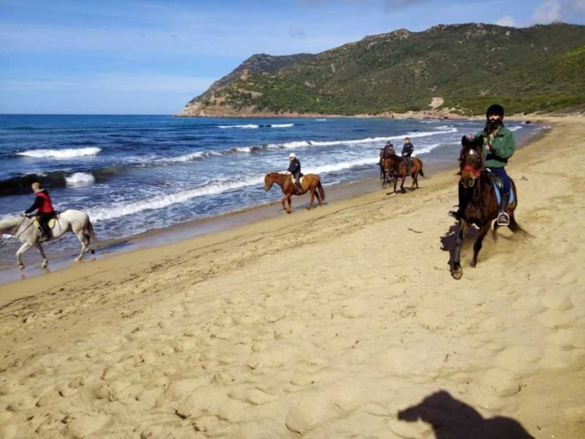 Alghero: Guided Horseback Ride at Lake Baratz & Porto Ferro - FAQ Section