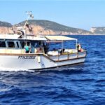 Alghero: Gulf of Alghero Fishing Boat Trip with Fresh Lunch - The Experience in Detail