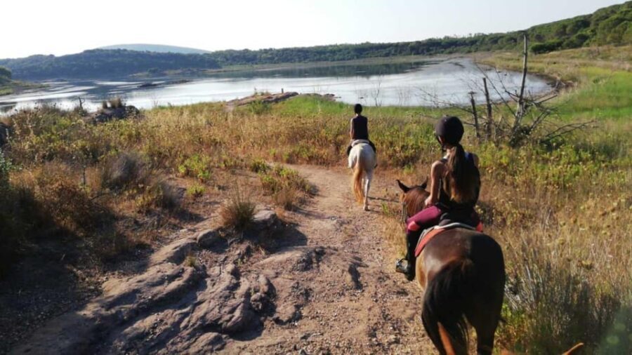 Alghero: horseback riding for experts in Lake Baratz - What’s Included & Not